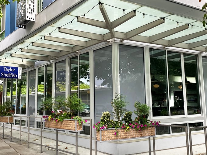 Taylor Shellfish's modern storefront hides ancient ocean treasures. Clean lines outside, briny delights inside!