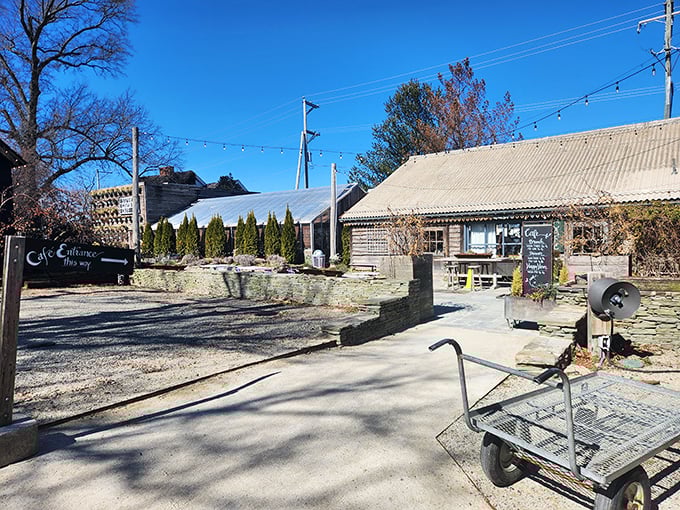 Garden paradise meets gourmet plates. Dining among the plants creates an atmosphere that feeds all your senses.