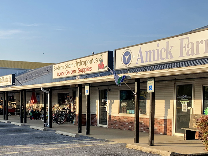 The Flea Market's exterior might be modest, but inside awaits a labyrinth of potential purchases that would make any treasure hunter giddy.