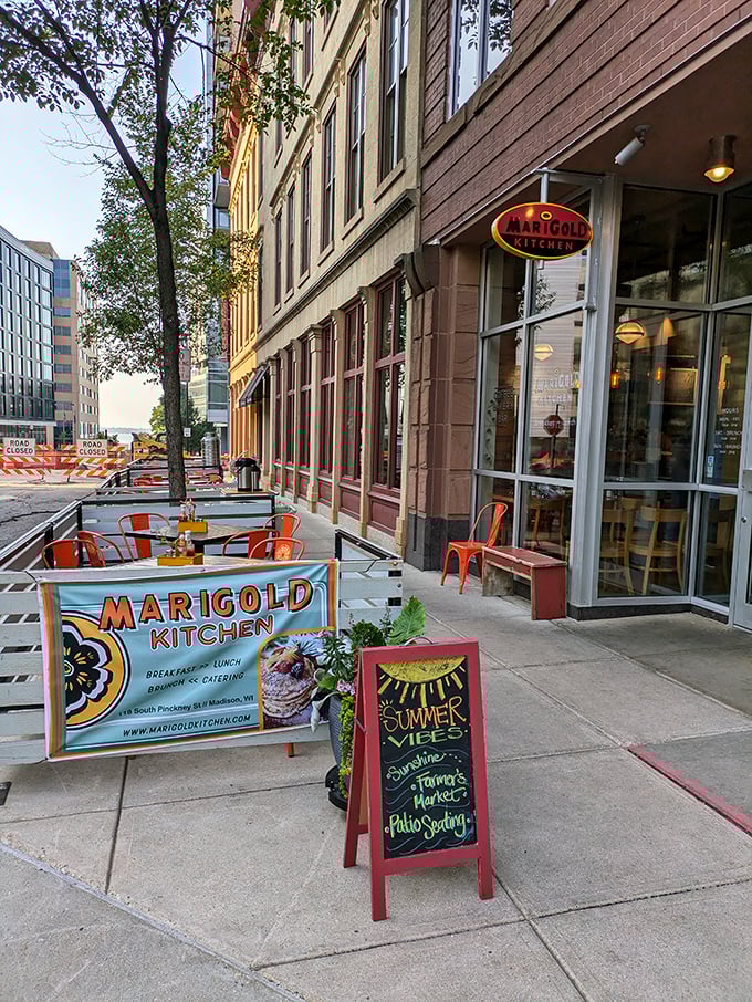 Sunlight streams through those big windows, illuminating breakfast plates that belong in a food magazine.