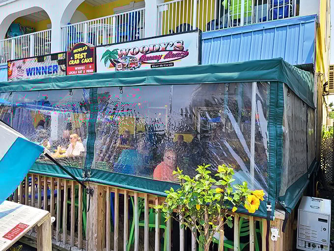 Woody's beachfront setup looks like the committee for good times and great seafood held their annual meeting and decided to stay.