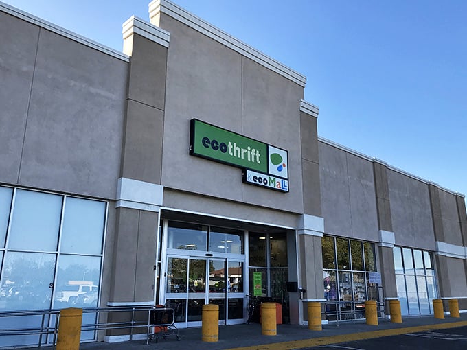 With its no-nonsense modern design, Eco Thrift promises an environmentally friendly alternative to retail therapy.