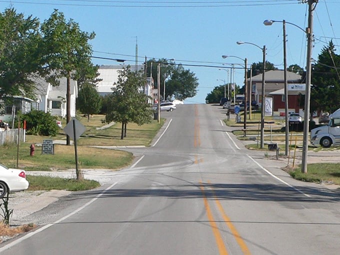 The heart of Elmwood beats strongest on its clean, well-kept streets where neighbors still wave from their porches.