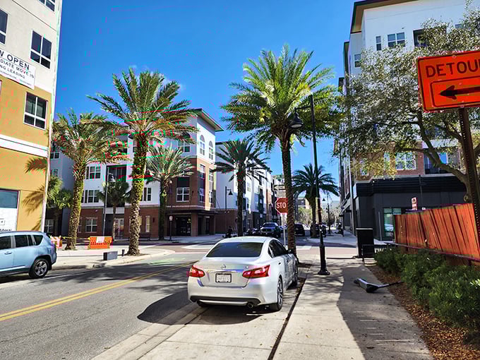 Downtown Gainesville streets where palm trees provide shade for impromptu reunions between neighbors running weekend errands.