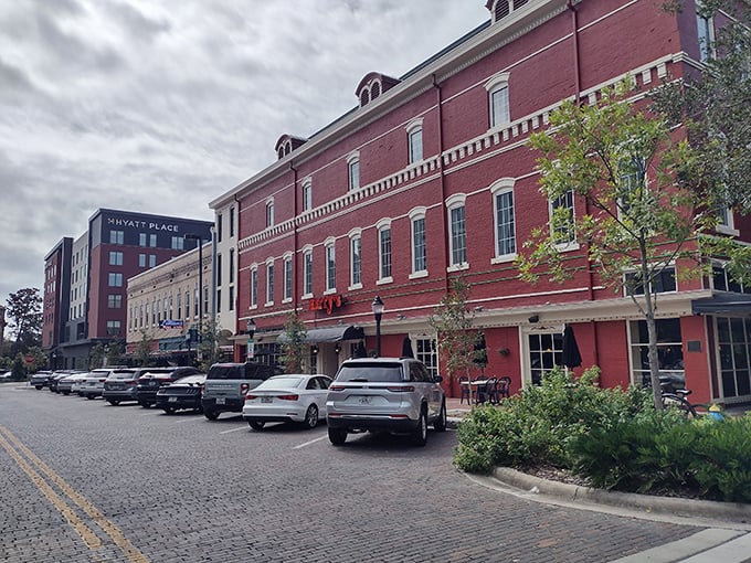 Historic homes under sprawling oaks &ndash; Gainesville preserves its past while embracing its future as a vibrant college town.