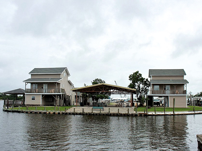 Where Mississippi River meets coastal marshland, Jean Lafitte creates a landscape that feels both prehistoric and perfectly peaceful.
