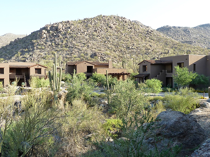 Shopping centers in Marana provide all the necessities without big-city prices or traffic headaches. Convenience meets affordability!