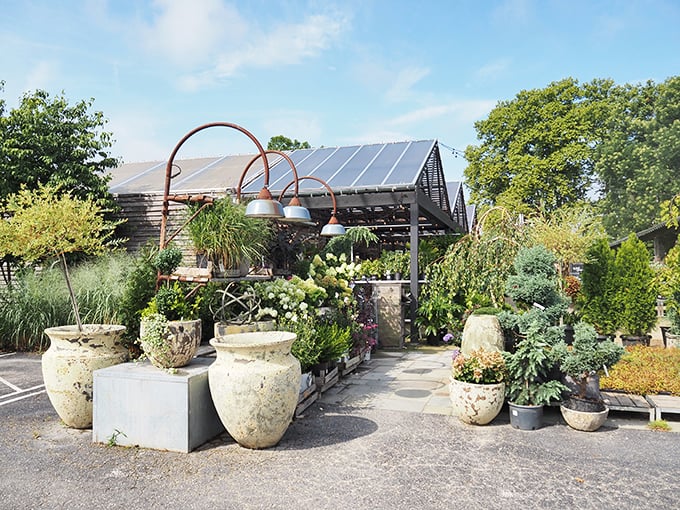 Where your table neighbors might be potted herbs and your shopping cart fills up after dessert. 