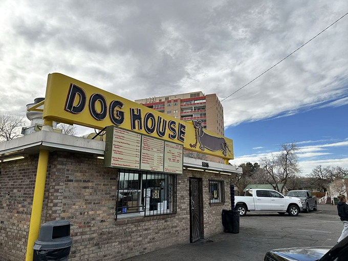 This tiny hot dog haven proves that sometimes the most memorable meals come from the most unassuming places.