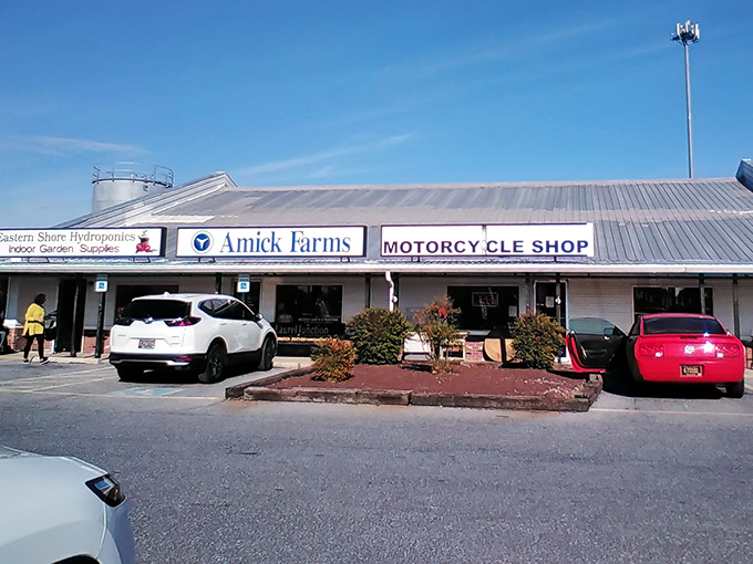 Amick Farms shares this shopping complex, proving that in Delaware, garden supplies and hidden gems often grow side by side.