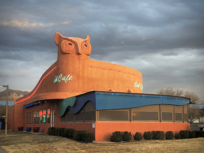 This isn't just a building &ndash; it's a landmark with pancakes. The Owl Cafe proves great food can come in quirky packages.