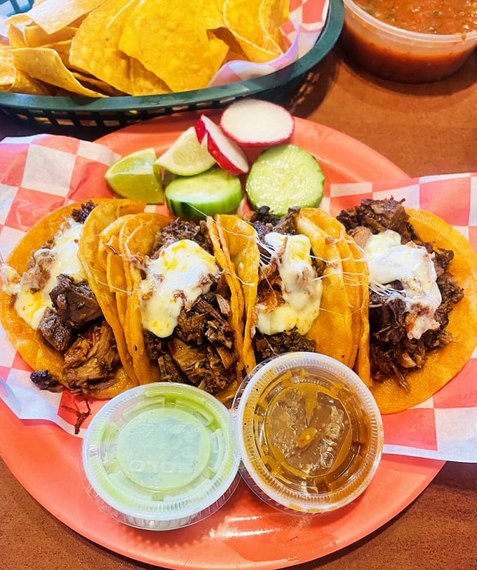 Chorizo tacos bringing that perfect spicy kick, balanced with fresh toppings. Like a flavor fiesta where everyone's invited.
