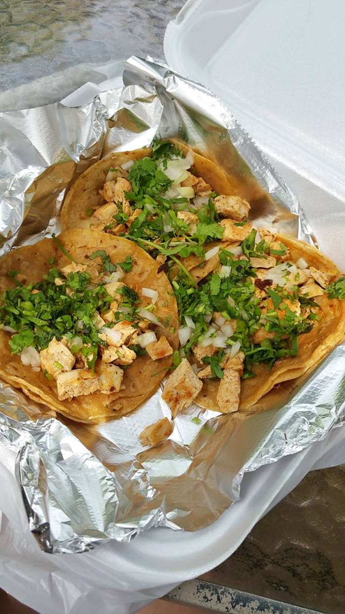 Chicken tacos so generously topped with fresh cilantro they could qualify as a salad, if salads were allowed to be this exciting.
