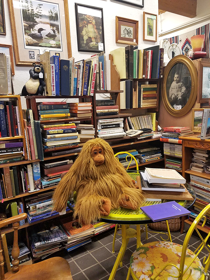 Books and quirky companions share space in this literary corner. That orangutan plush looks like he's been waiting for someone to discuss the classics.