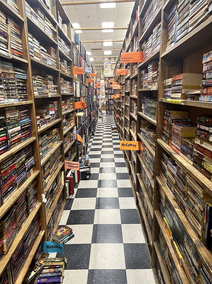 Literary canyons formed by towering shelves, with helpful orange signs guiding you to your next favorite author. McCaffrey, anyone?