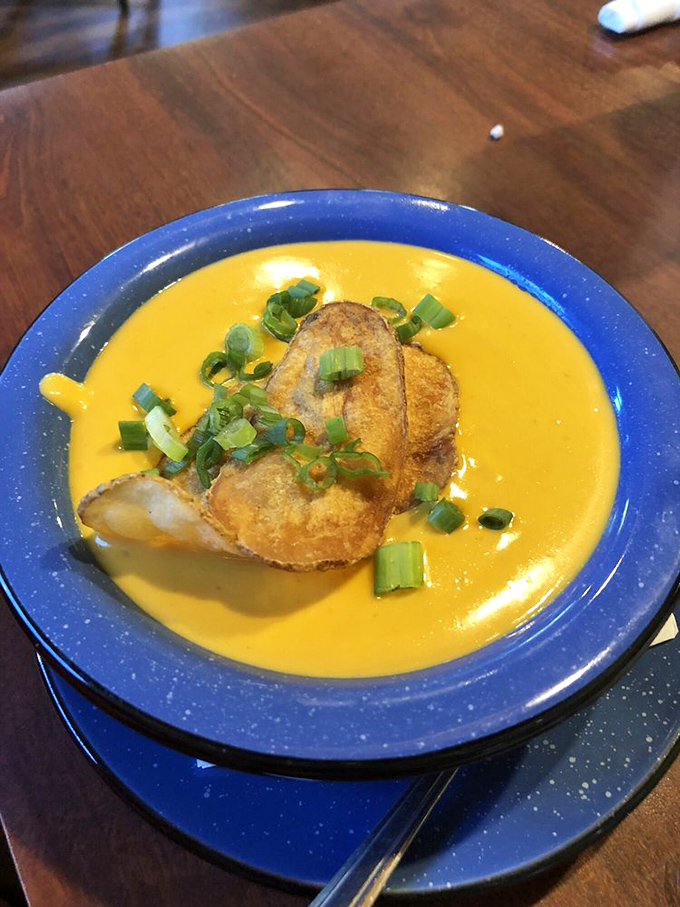 This isn't just cheese soup&mdash;it's liquid gold topped with potato crisps and green onions, comfort in a speckled blue bowl.