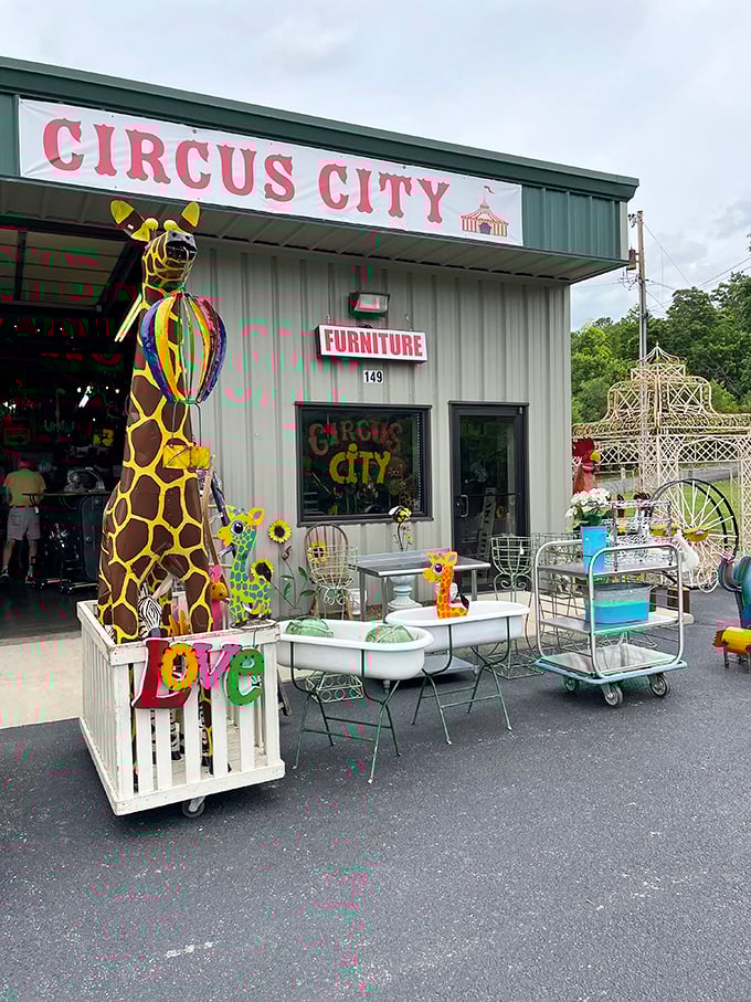 Circus City proves that sometimes the most memorable antiques come with a side of whimsy. That giraffe has seen things.