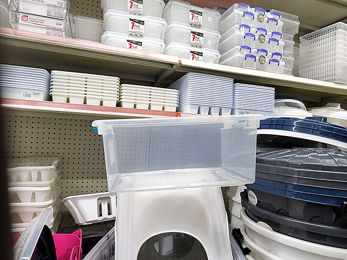 Storage solution paradise &ndash; where the containers are as clear as your sudden need to organize everything in your home immediately.