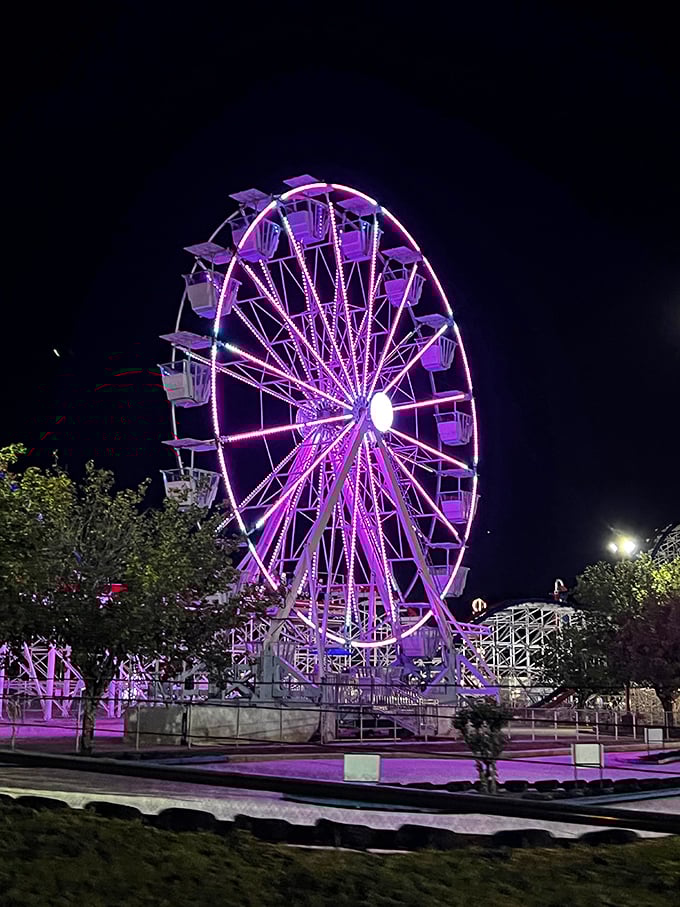 As night falls, the Ferris wheel transforms into a purple-hued beacon of joy. Romance for teens, wonder for kids, nostalgia for everyone else.