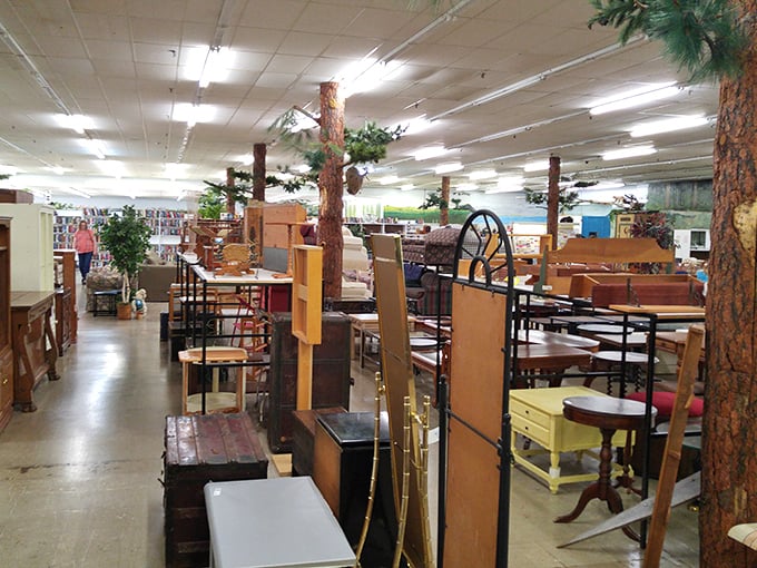 Furniture displays create mini living rooms throughout the store, allowing shoppers to envision these pieces in their own homes before committing.