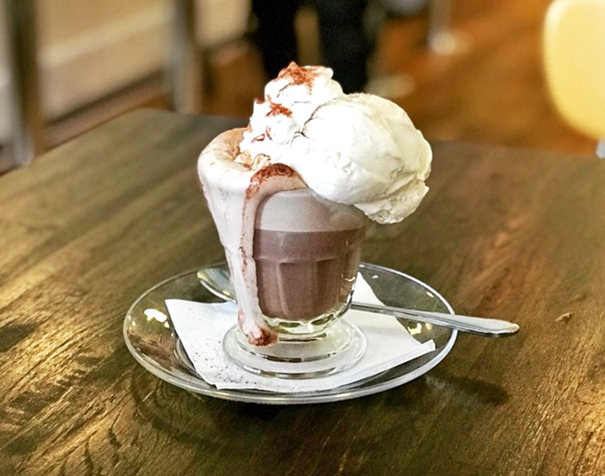 Hot chocolate that graduated with honors. The whipped cream cap sits atop this cocoa float like a professor's hat at commencement.