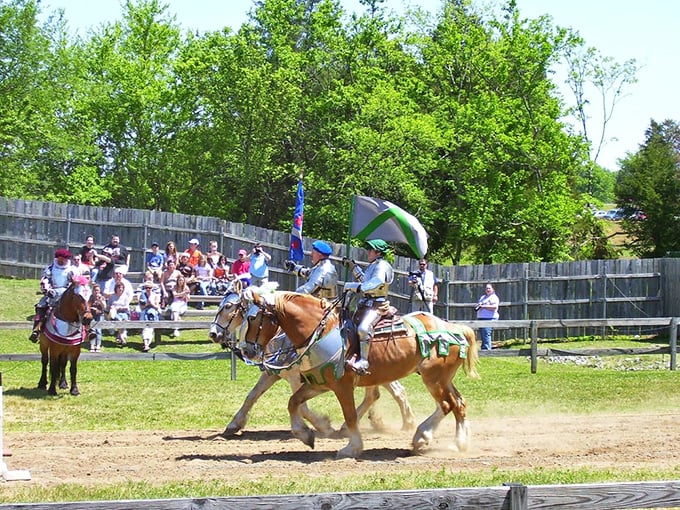 These jousting knights transform the castle grounds into a thrilling medieval spectacle, proving that horsepower meant something entirely different in the Middle Ages.