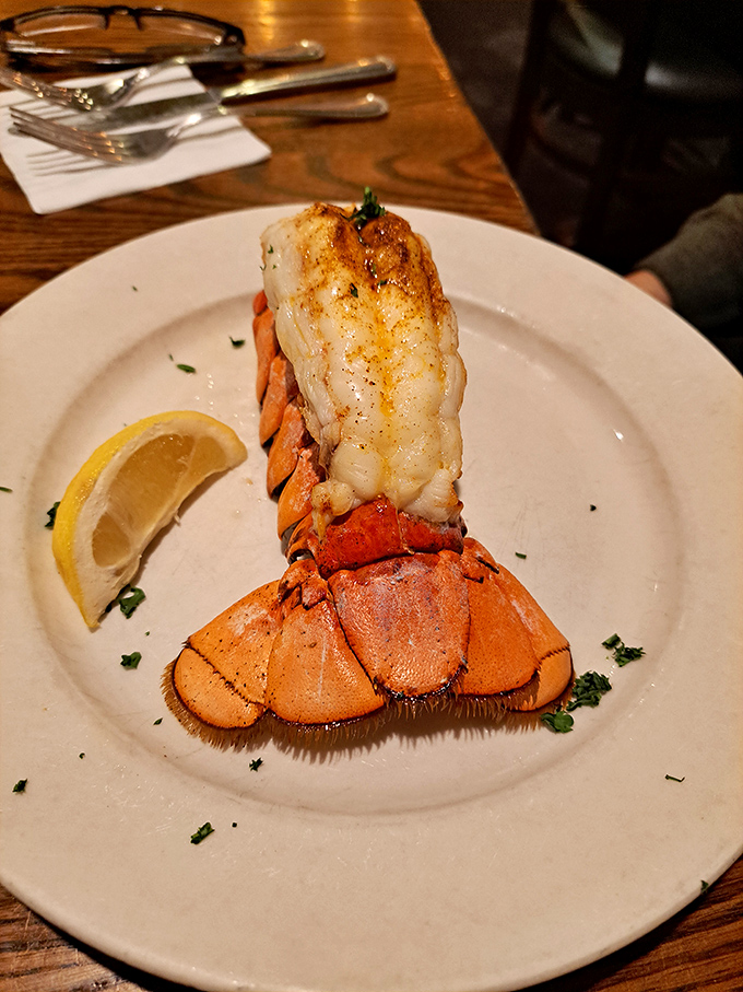 The lobster tail arrives like seafood royalty on a white throne, perfectly split and ready for its butter bath.
