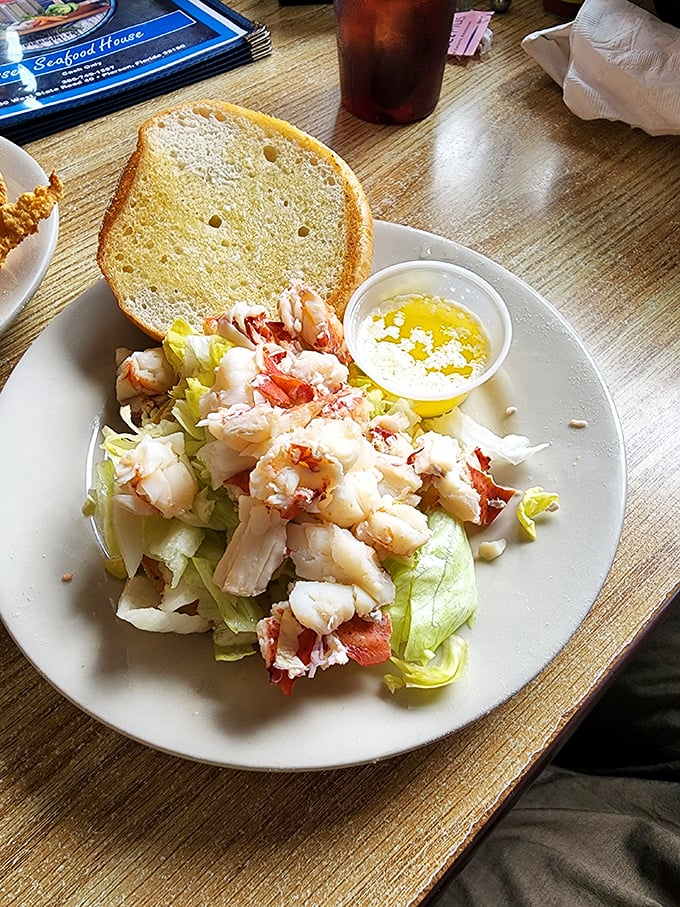 Seafood salad so fresh it practically introduces itself. "Hello, I was swimming this morning. Pleased to meet you."