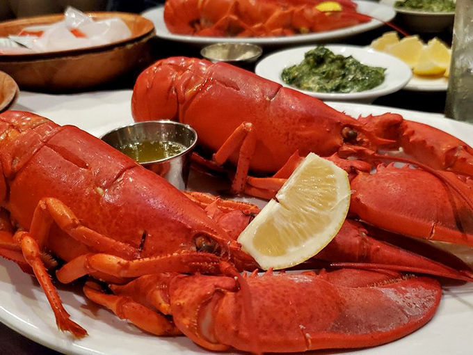 These lobsters aren't just seafood&mdash;they're crimson celebrities on a white plate runway, waiting for their butter bath and their moment of glory.