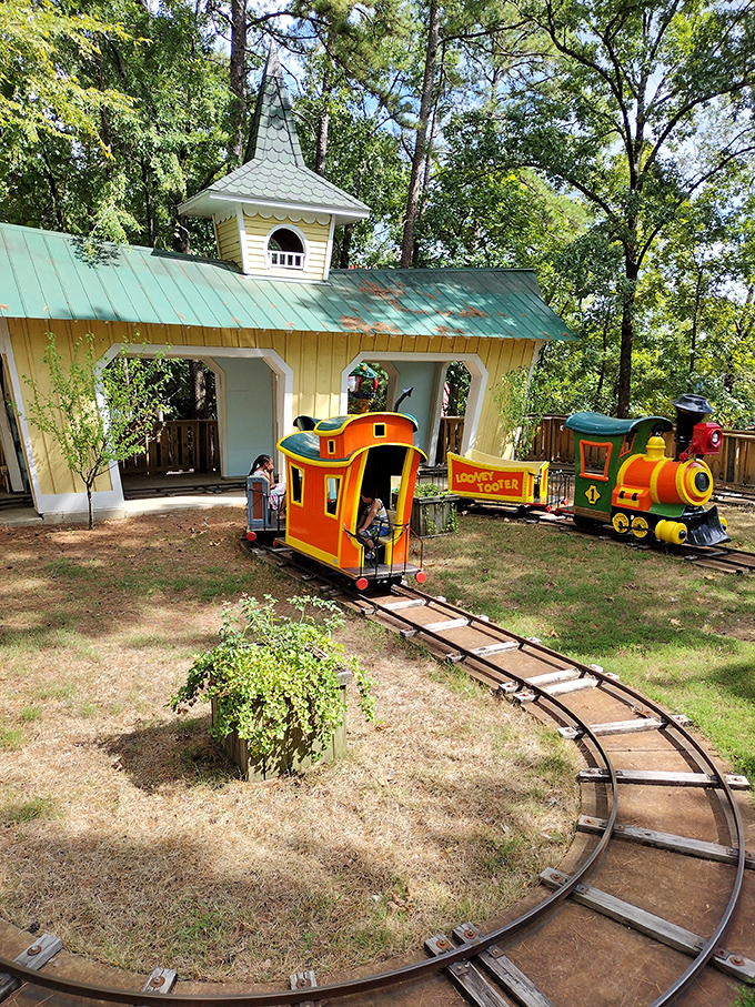 The Looney Tooter chugs along its track, delighting tiny conductors who haven't yet learned that most commuter trains aren't quite this charming.