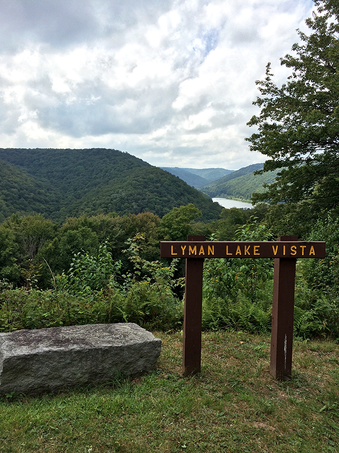 A postcard-worthy panorama that defies Pennsylvania stereotypes. This tranquil lake view makes you question whether you've somehow teleported to Minnesota's north woods.