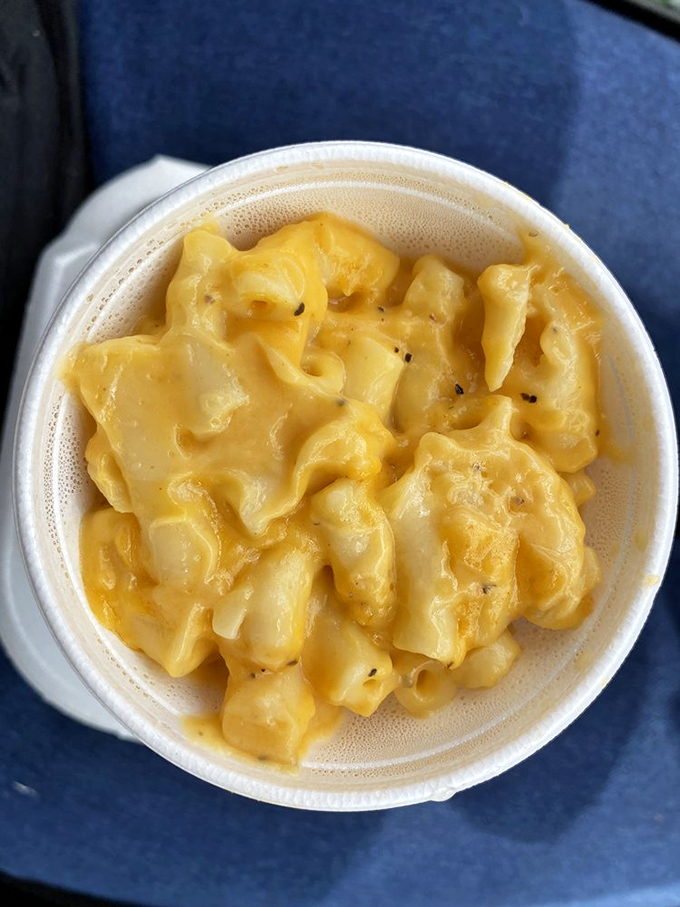 Mac and cheese that doesn't pretend to be fancy&mdash;just creamy, comforting perfection that takes you straight back to childhood, only better.