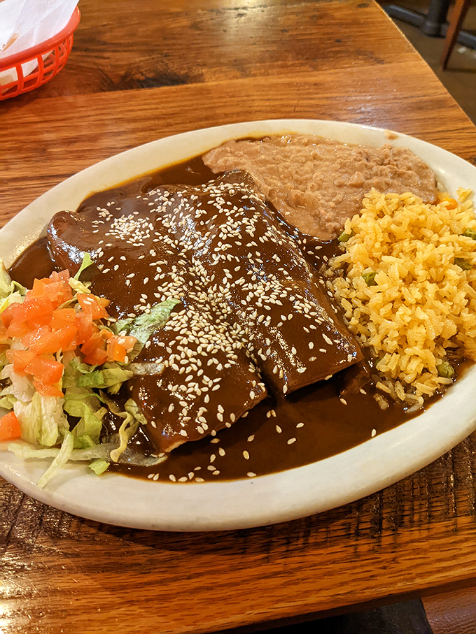 Dark, mysterious, and intensely flavorful &ndash; this mole-covered dish looks like it contains secrets handed down through generations of expert cooks.