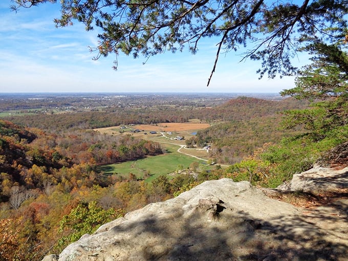 Standing at East Pinnacle feels like discovering a secret balcony overlooking Kentucky's finest landscape theater &ndash; no ticket required!