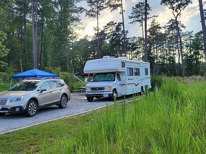 RV dreams come true at Goose Creek, where your home-on-wheels finds the perfect parking spot amid tall grasses and towering pines.