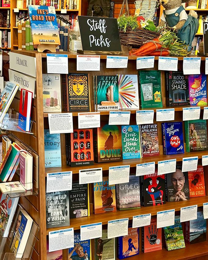 New releases displayed like culinary masterpieces, each cover art a visual appetizer for the feast of words waiting inside. 