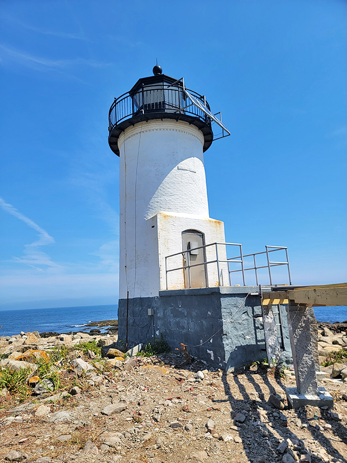 Straitsmouth Island Light Station stands sentinel against the Atlantic, its whitewashed tower a stubborn reminder of maritime history against the endless blue.
