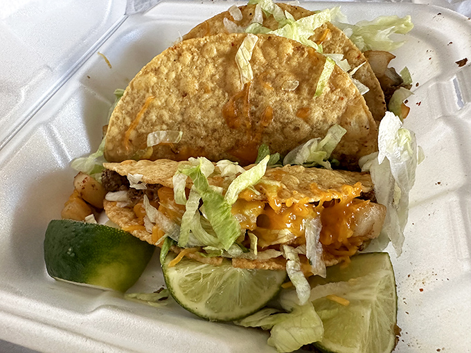 These tacos aren't wearing fancy outfits or trying to impress anyone. They're just honest food that delivers a punch of flavor with every bite.