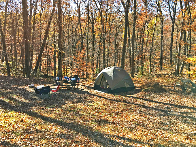 Camping as nature intended&mdash;surrounded by rustling leaves and dappled sunlight. Your tent becomes a five-star accommodation when this is your ceiling.