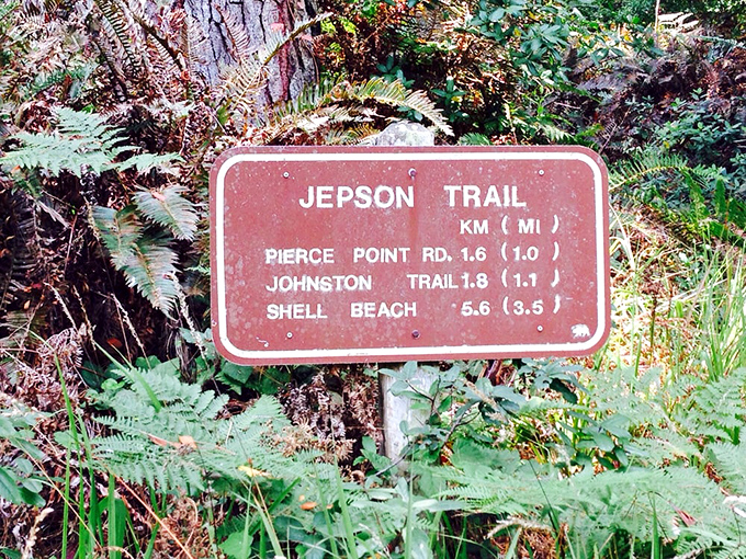 Trail signs: nature's version of GPS, but with better scenery and zero annoying recalculations when you decide to wander off-path.