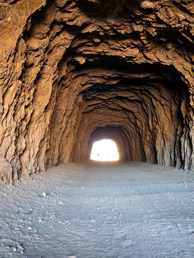 Light at the end of the tunnel isn't just a metaphor on Tunnel Drive Trail, where nature's majesty waits just beyond the darkness.