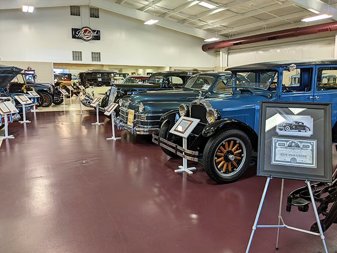 From the sleek blue sedan to the stately black coupe, each vehicle represents an era when American automakers were the envy of the world.