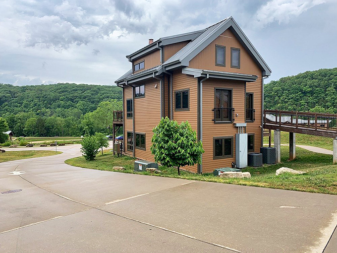 Modern cabin comforts nestled in ancient wilderness&mdash;like finding a barista in the backcountry. These accommodations prove "roughing it" is entirely optional.