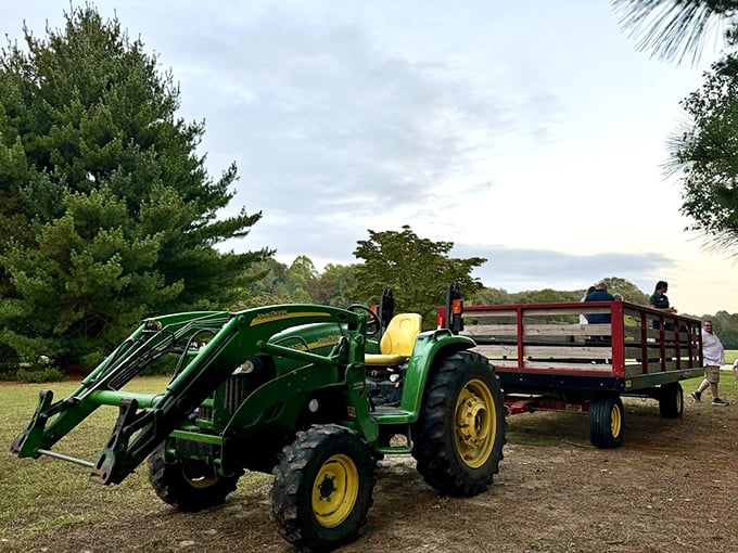 All aboard the hayride express! The only traffic jam you'll encounter is when a squirrel crosses the path.