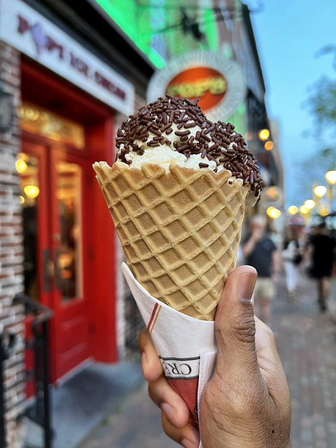 Whoever said vanilla is boring never met this scoop. It's the Meryl Streep of ice cream—classic, versatile, and always impressive.