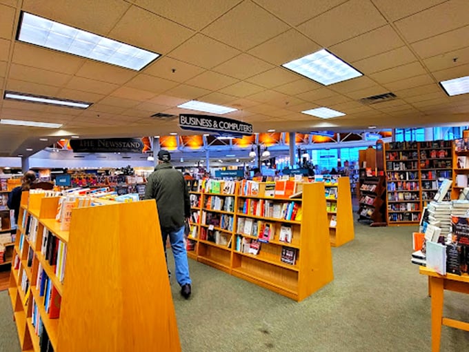 Sunlight streams through those spectacular windows, turning everyday browsing into a cathedral-like experience. Books as sacred texts indeed! 