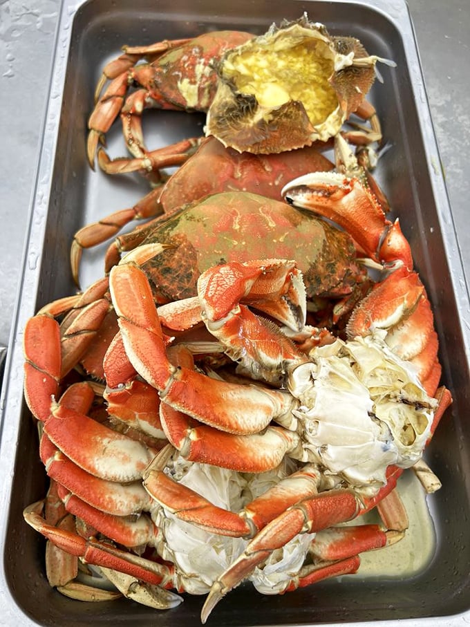 "I caught you looking!" Fresh crab and fish await their culinary transformation at this rustic seafood paradise on the Oregon coast. 