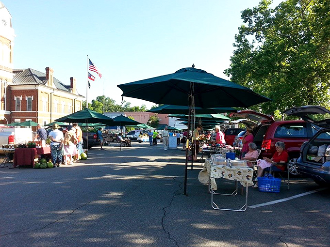 Saturday mornings at the farmers market feel like social hour with benefits - fresh produce and fresher gossip under those green canopies.