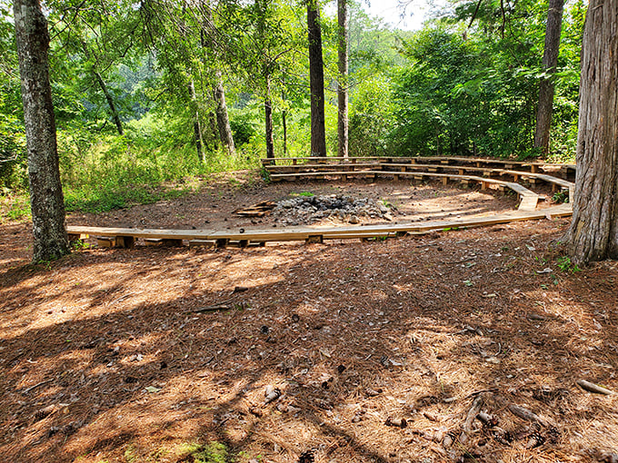 This amphitheater-style fire pit area creates the perfect gathering space for ghost stories and s'mores. Campfire TED talks happen here nightly.