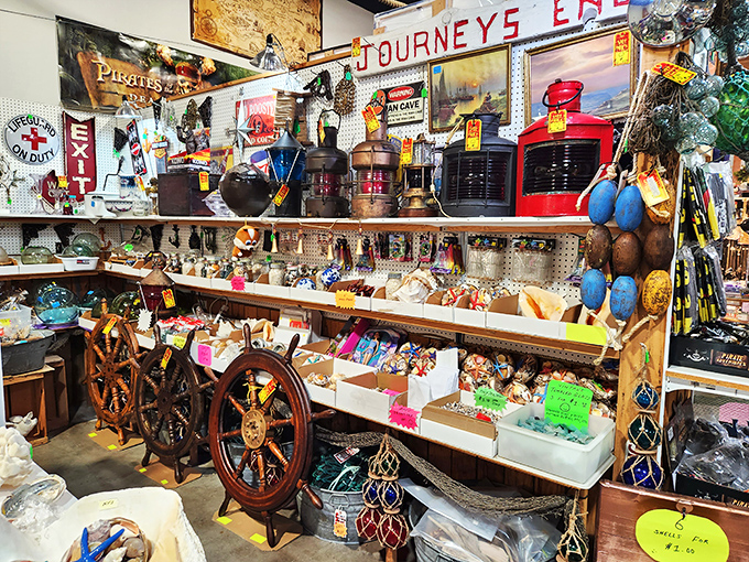 Seashells and coastal curiosities that bring the ocean indoors. Neptune himself would approve of this maritime collection. 